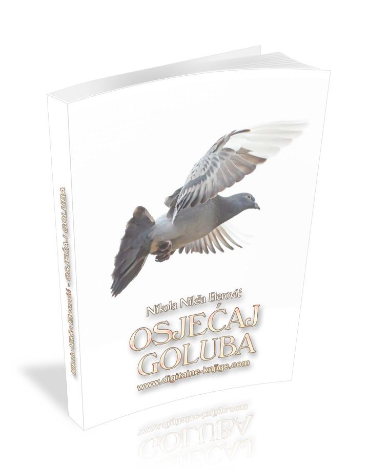 Osjećaj goluba - Niksa Eterovic